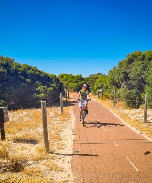 About Us | MetroCount